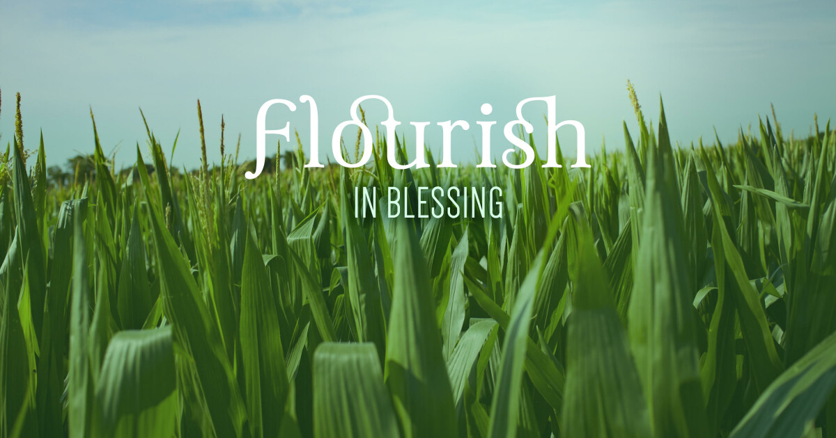 Flourish in Blessing | Sermons | Redeemer Church